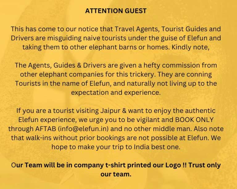 EleFun – – Jaipur