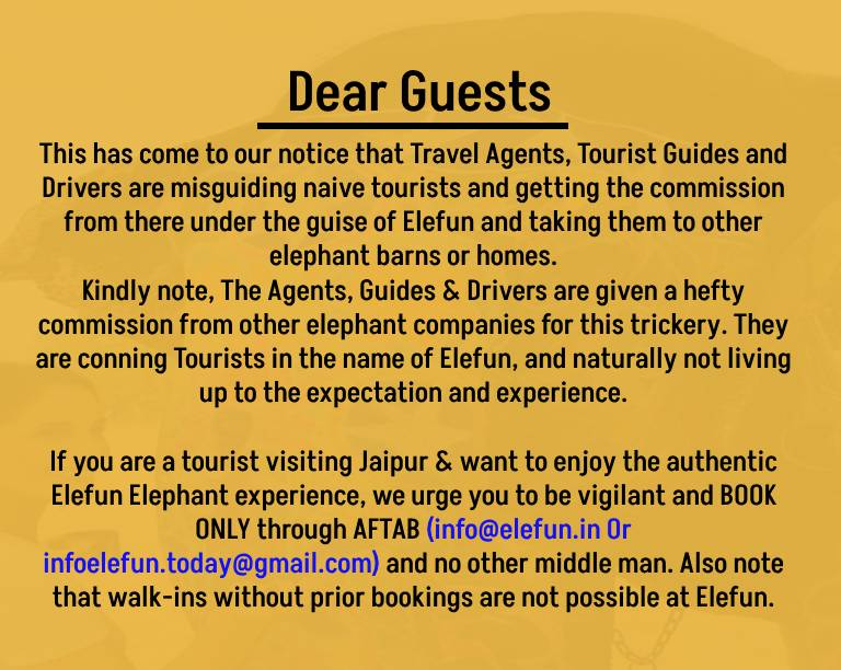EleFun – – Jaipur